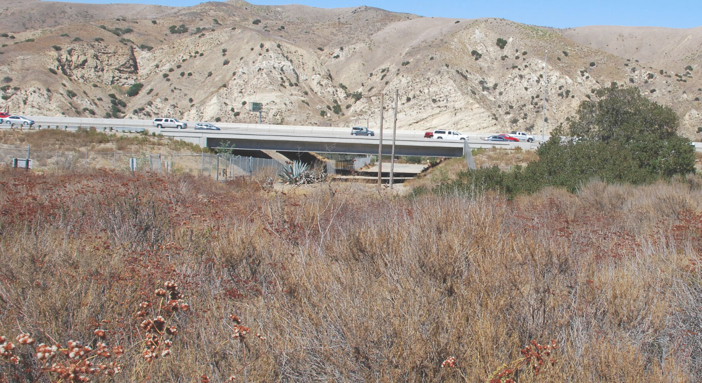 Wildlife Travel More Safely Thanks to OC Go | OCTA Blog