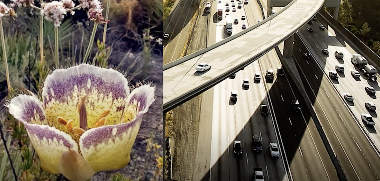 OCTA Continues to Deliver with Updated OC Go Funding Plan 1 | OCTA Blog