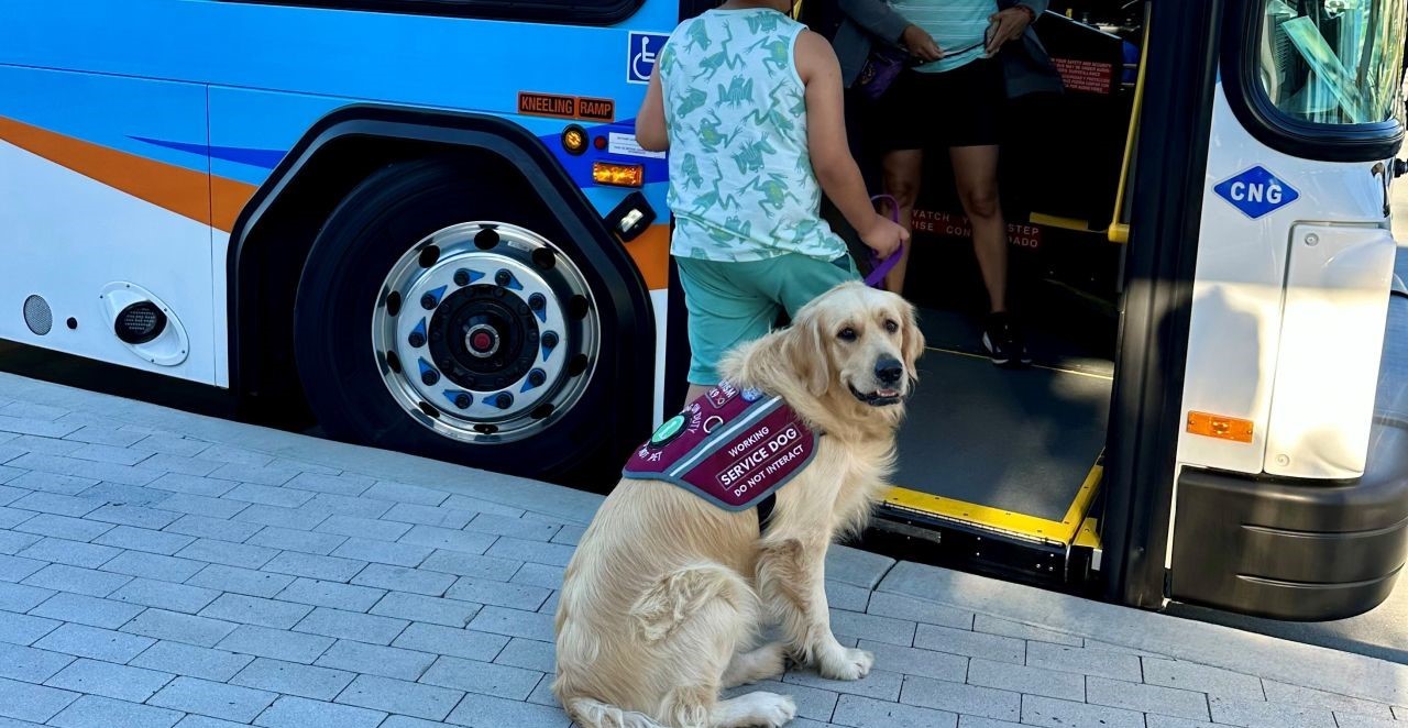 More than 150 Dogs & Trainers Practice Riding OC Buses | OCTA Blog
