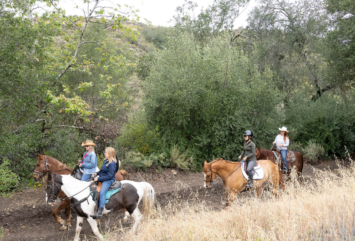 Experience a Wilderness Preserve on Horseback | OCTA Blog