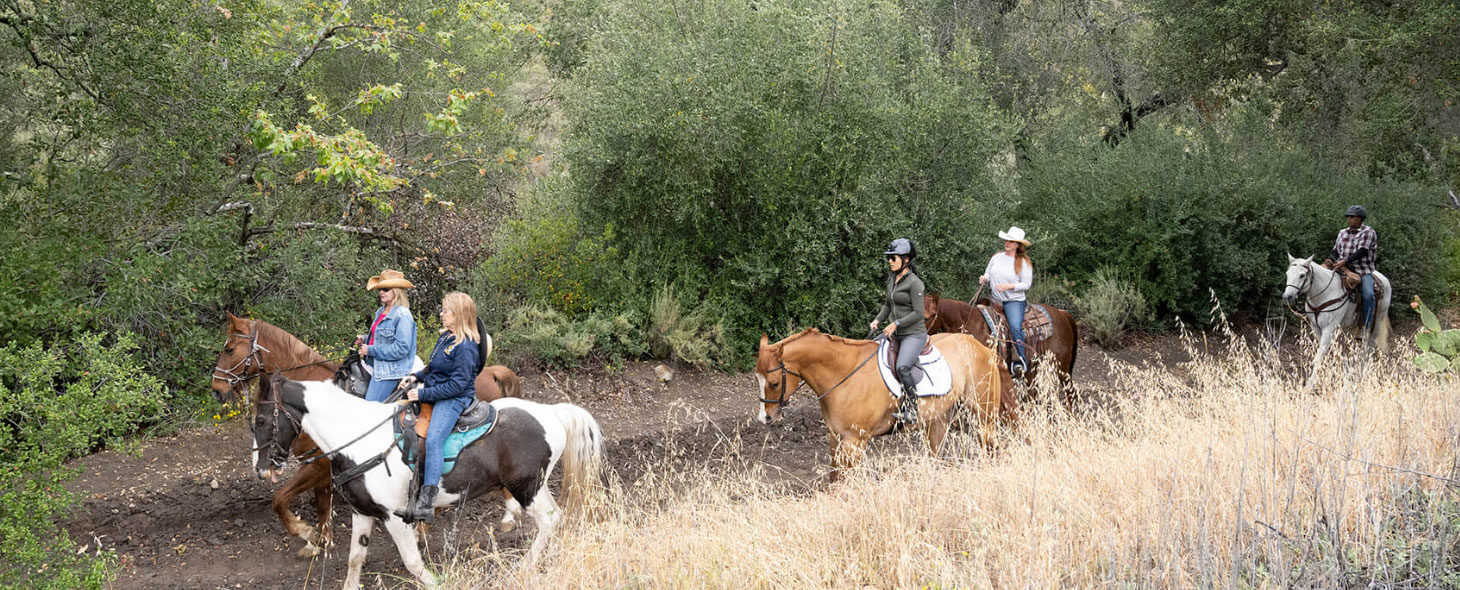 Kick Off Summer with A Free Wilderness Ride | OCTA Blog