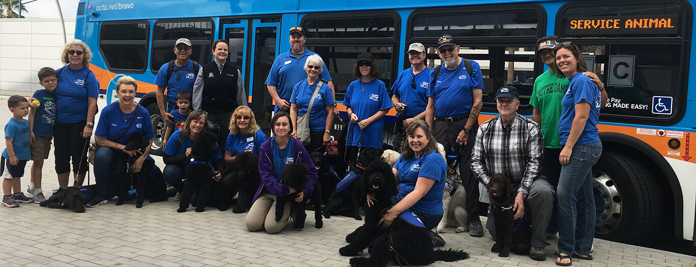 Helping Service Animals Ride Public Transportation | OCTA Blog