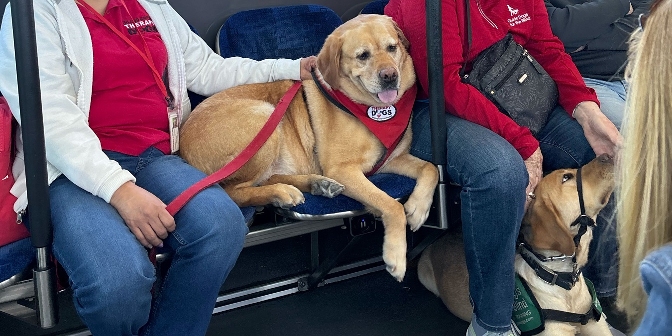 Service Animal Training Day Supports ADA, Breaks Attendance Records ...