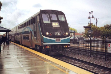 Travelers Choose Metrolink for Festival of Whales Trip | OCTA Blog