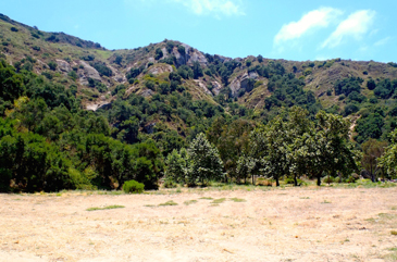 Measure M Helps Transform Dirt Lot into Wildlife Corridor | OCTA Blog