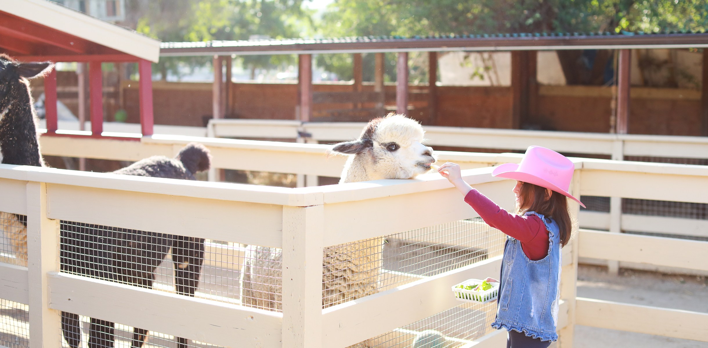 A Metrolink Family Favorite: Zoomars in San Juan Capistrano | OCTA Blog