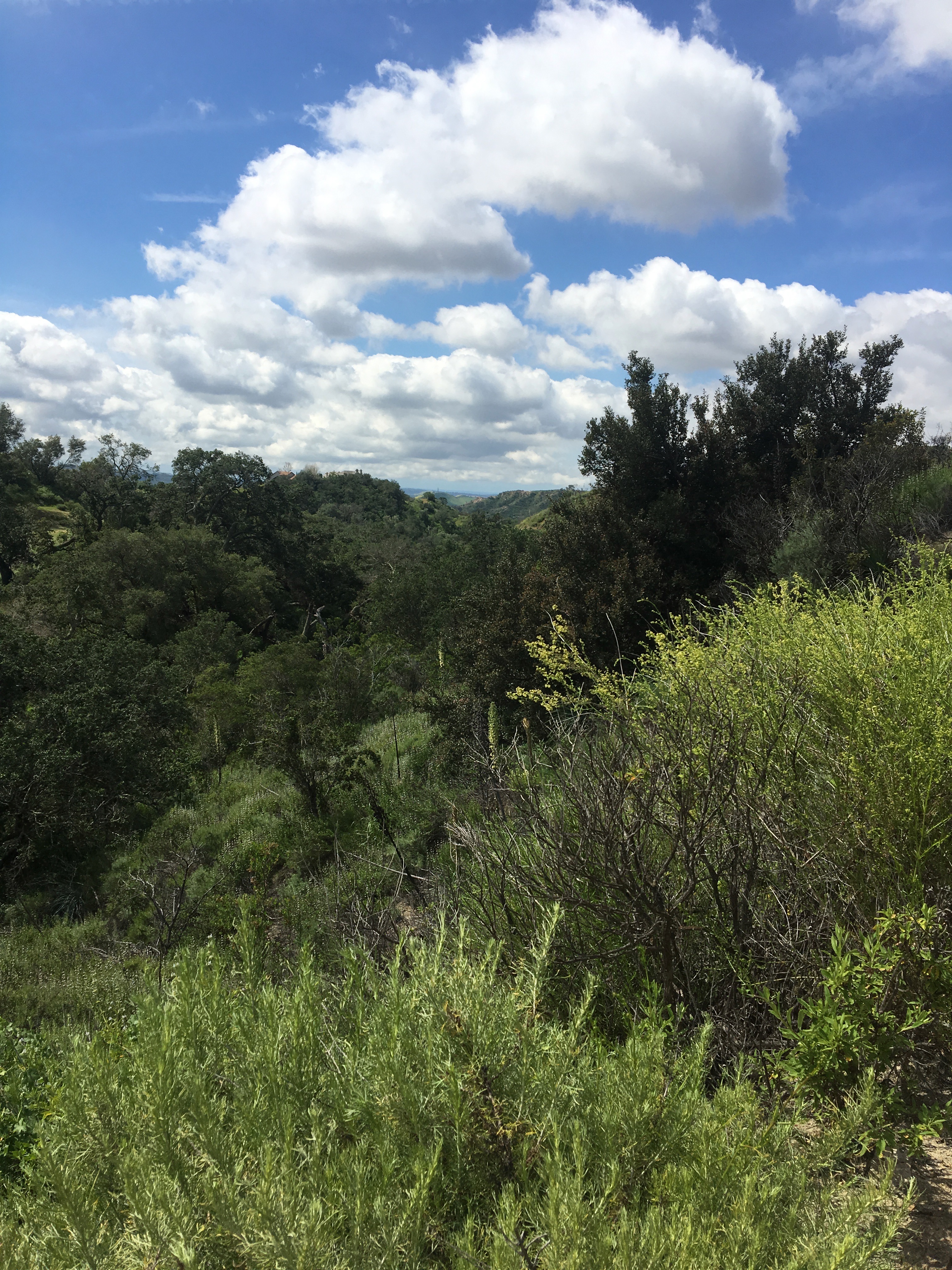 Explore the Wild with a Free Hike or Ride | OCTA Blog